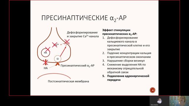 Фарма ВСЕ 3.2. Классификация и механизмы действия адреномиметиков.mp4