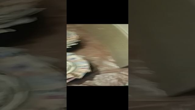 Как покрасить диски в домашних условиях!