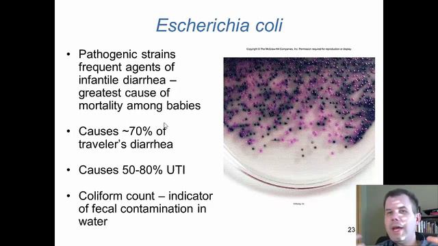 Unit 5. Chapter 20 - Gram Negative Bacilli of Medical Importance
