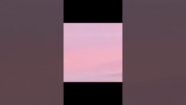 Пенье птиц и лай собаки...