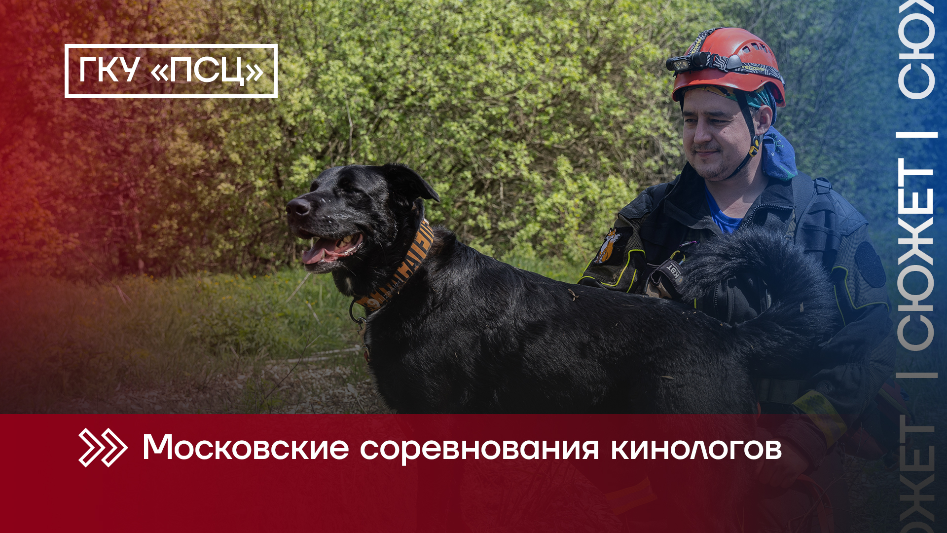 Городские соревнования кинологов - 2024