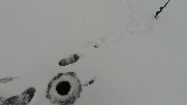 ПЕРВЫЙ ЛЕД СЕЗОН 2023-2024 ПОЛОВИЛИ ОКУШКА НА БЛЕСНЫ