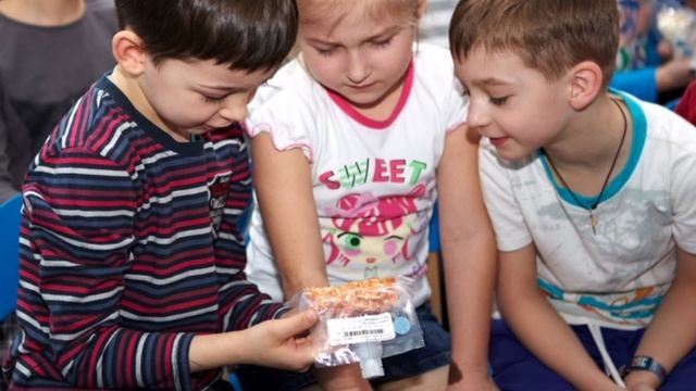 Встреча с космонавтом