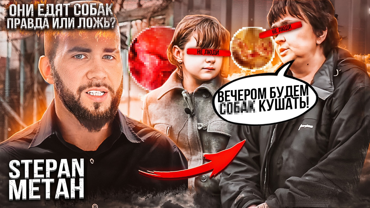 Они едят собак: правда или ложь? Наше расследование