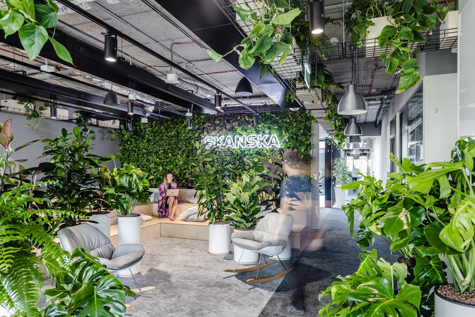 Лекция: Озеленение в интерьере