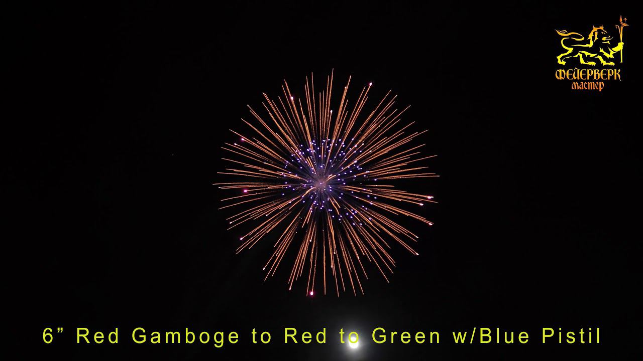 6" Red Gamboge to Red to Green w/Blue Pistil