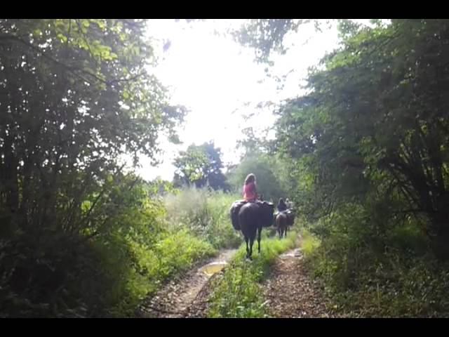 Верхом на лошадке по живописной Адыгее. Август 2012 года