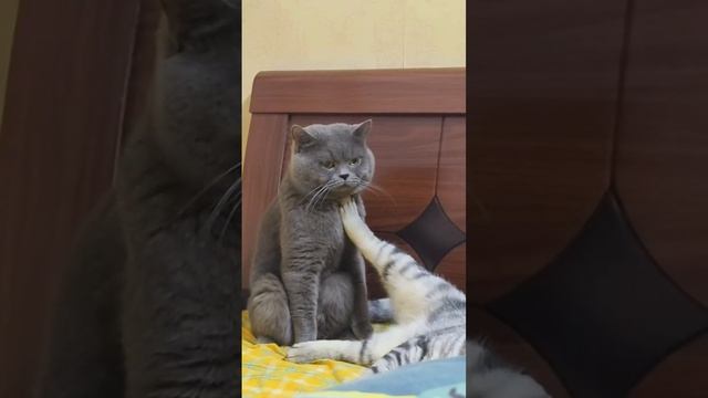 ? Когда она сильно обижена и всячески это демонстрирует ?