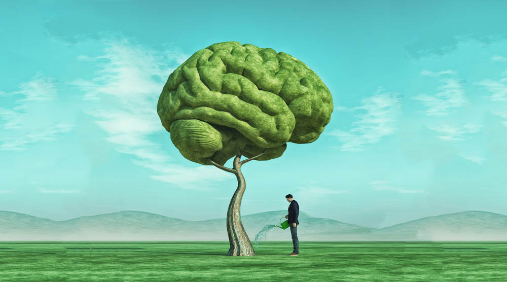 Сила МЫСЛИ. Чистота в Голове, Чистота в Жизни.