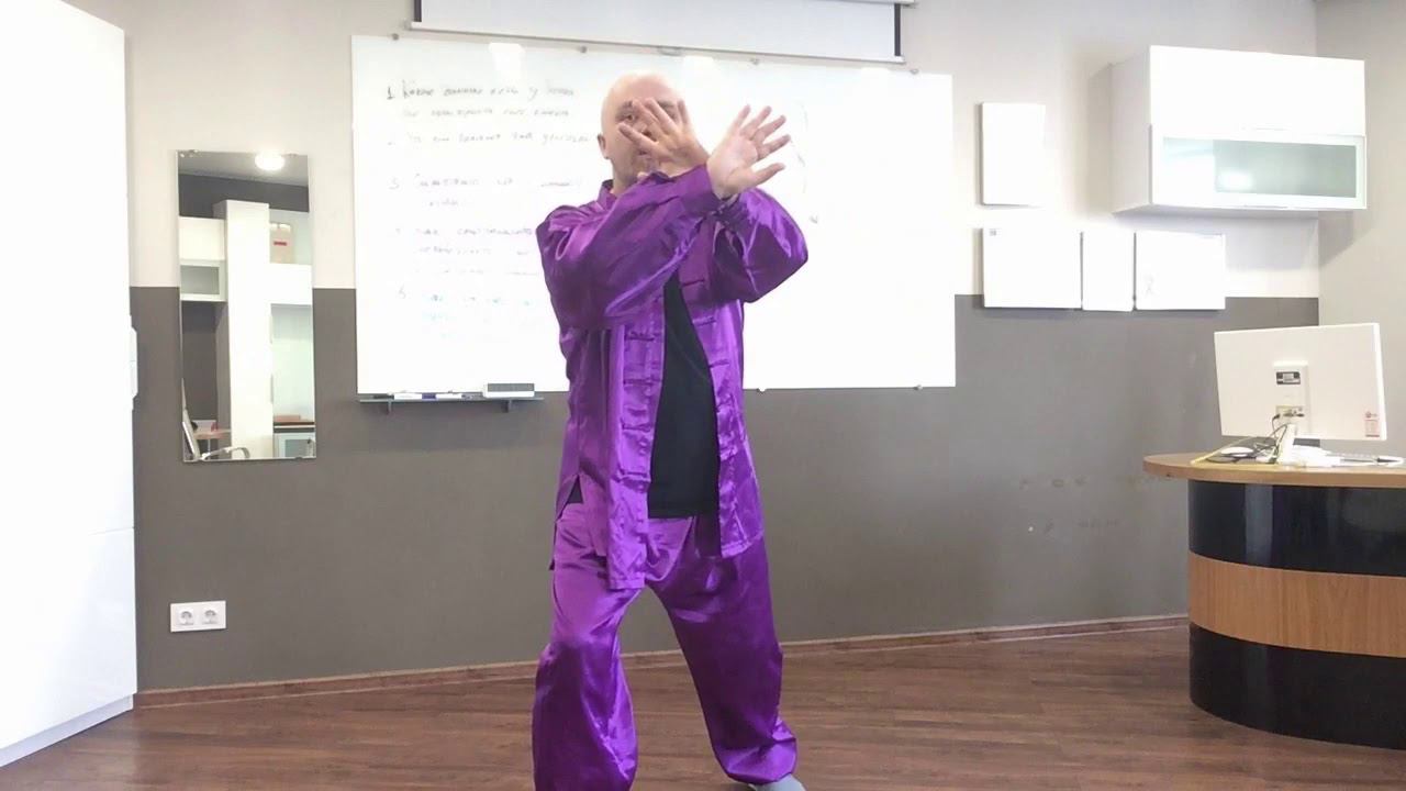 Белый журавль расправляет крылья. Чэньши Тайцзицюань.  Позиция 6/83.