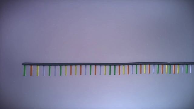 Анимационная модель синтеза белка. Транскрипция и трансляция