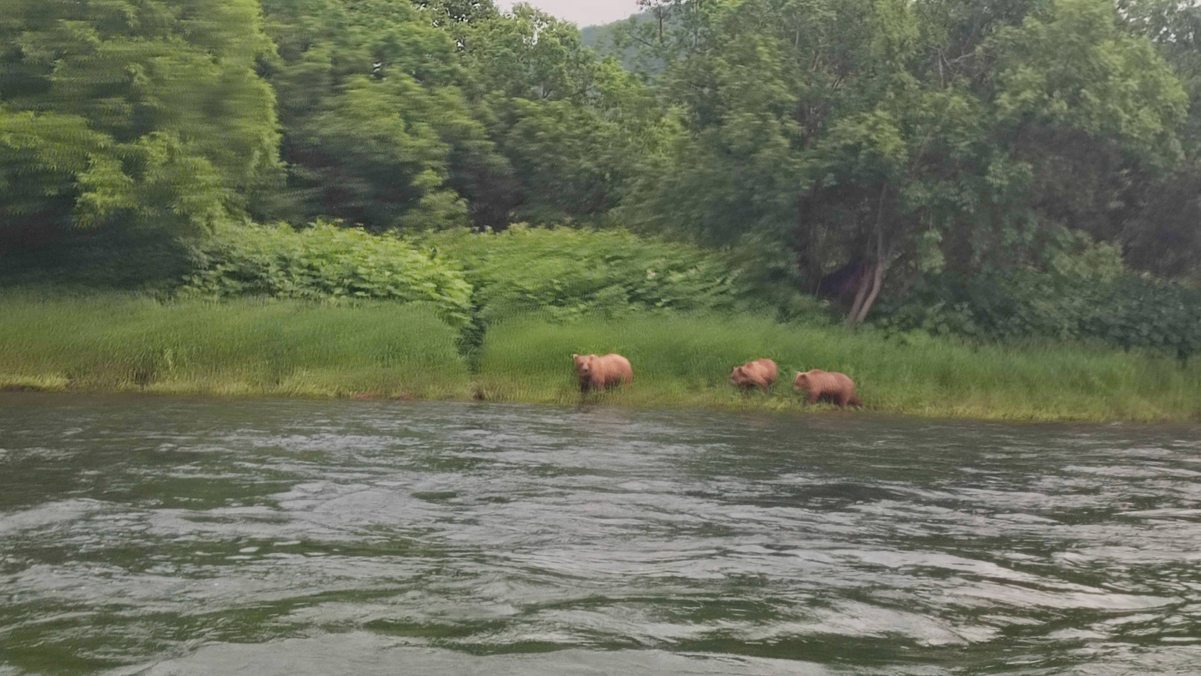 Настоящая Камчатка. День второй. Сплав по реке Быстрая