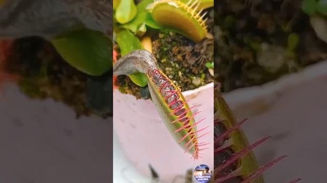 VID_20221224_201202_939.mp4