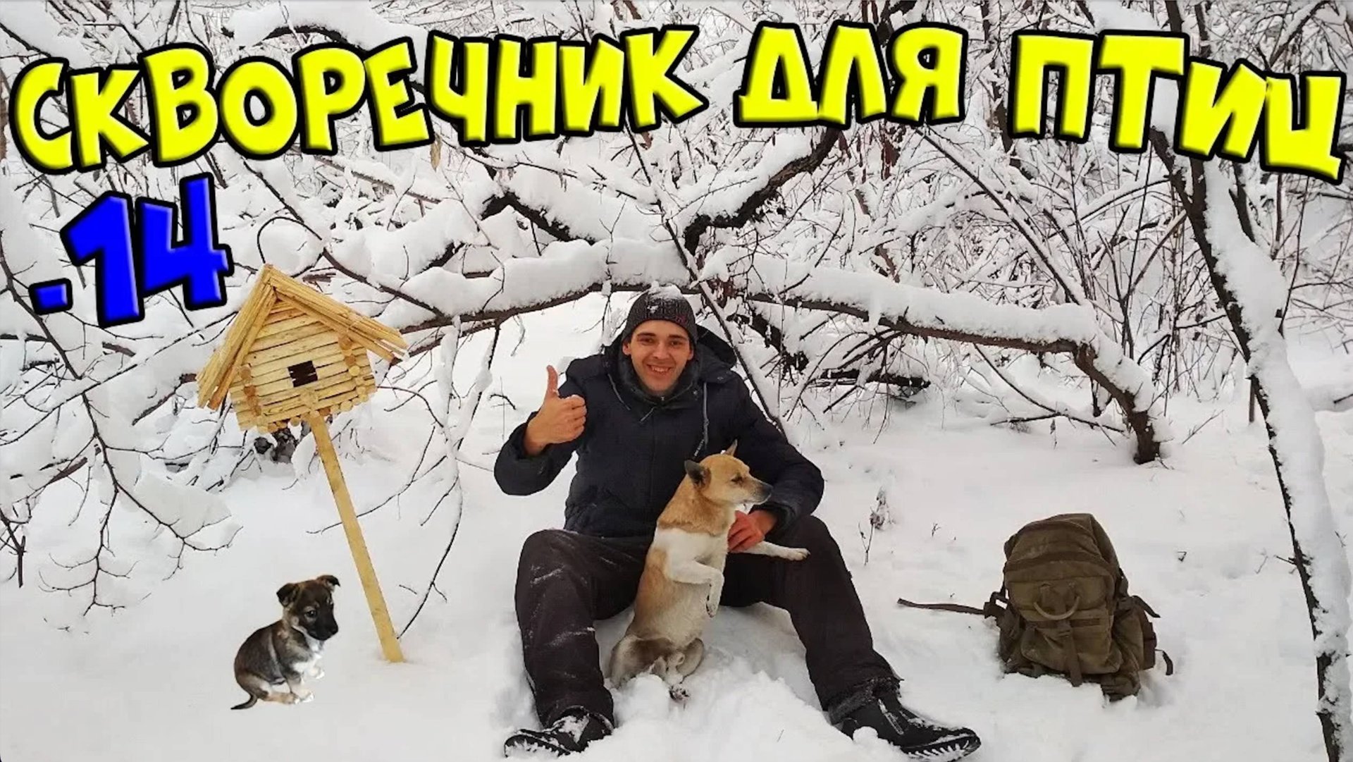 Отдых с Тобиком. 2019. Устанавливаю скворечник. Подобрал бездомного щенка. Волкмикс.