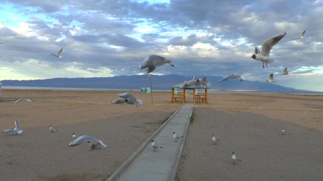 Часть 2.   Монголия.  Озеро Хар Ус Нуур.  Красный  каньон. Июль, 2023г.