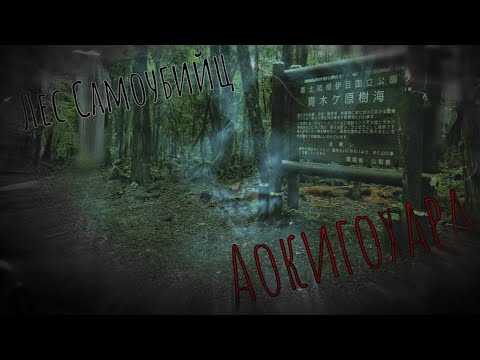 Аокигохара, Лес самоубийц, Страшные истории2.mp4