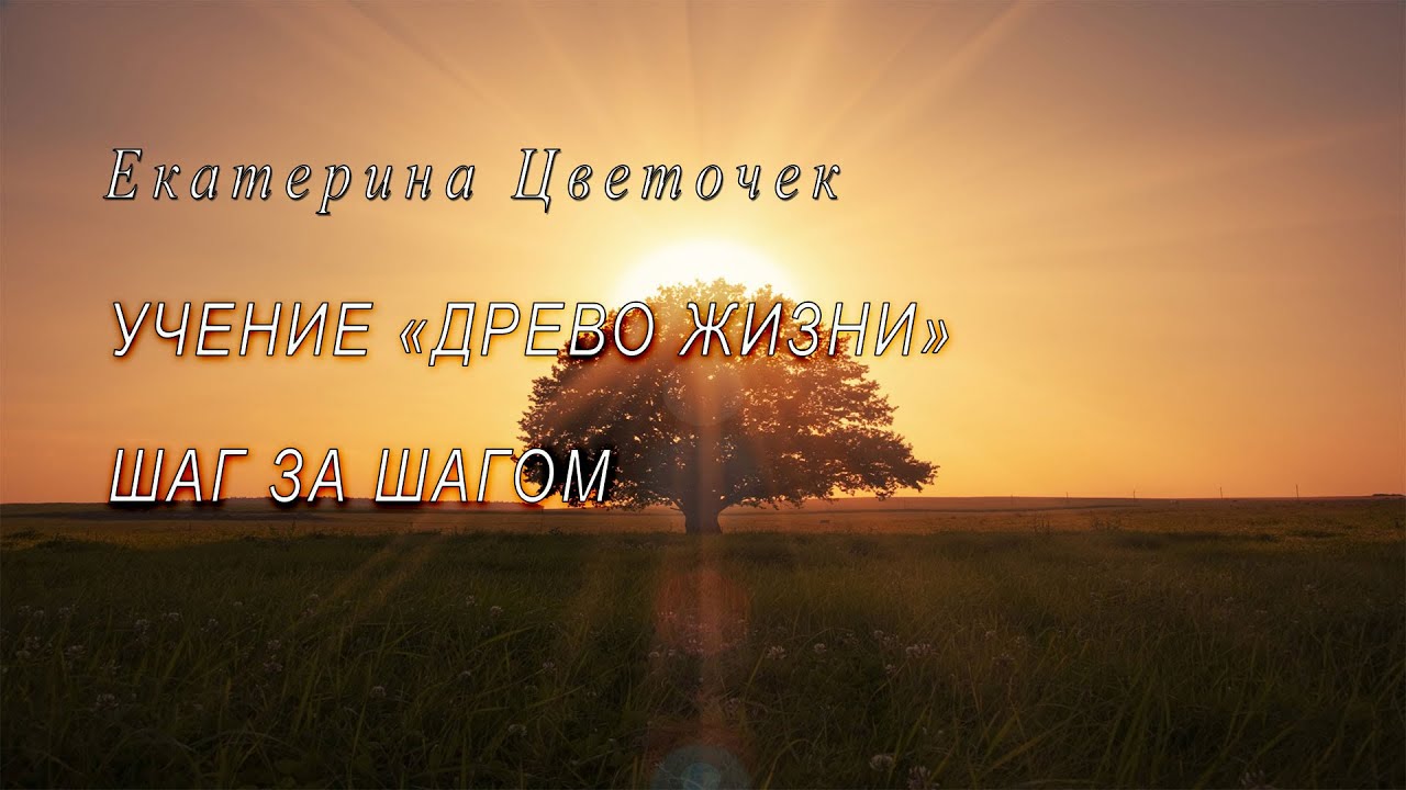 Учение _Древо Жизни_ шаг за шагом