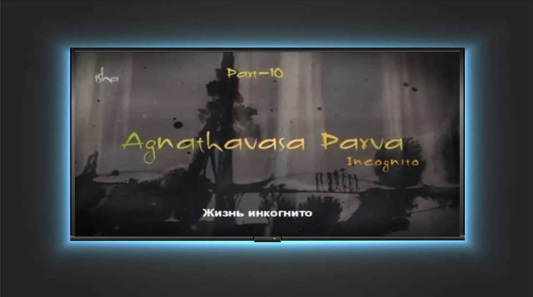 Махабхарата. 10 серия. Жизнь инкогнито(10\15) (Садгуру)