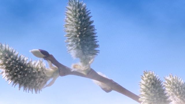 Нескончаемый роман... (Мои стихи о Вечном)
