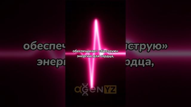 Ваш заряд энергии!