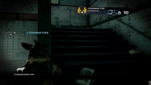 Call of Duty: Ghosts. Multiplayer. 1 часть