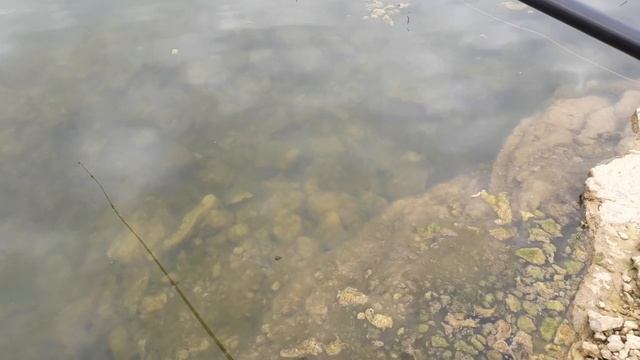 Рыбалка на Борнницком карьере, часть 1