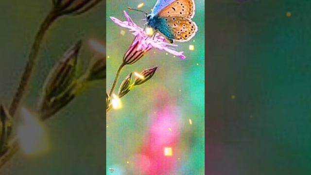 СЧАСТЬЯ, РАДОСТИ, УДАЧИ