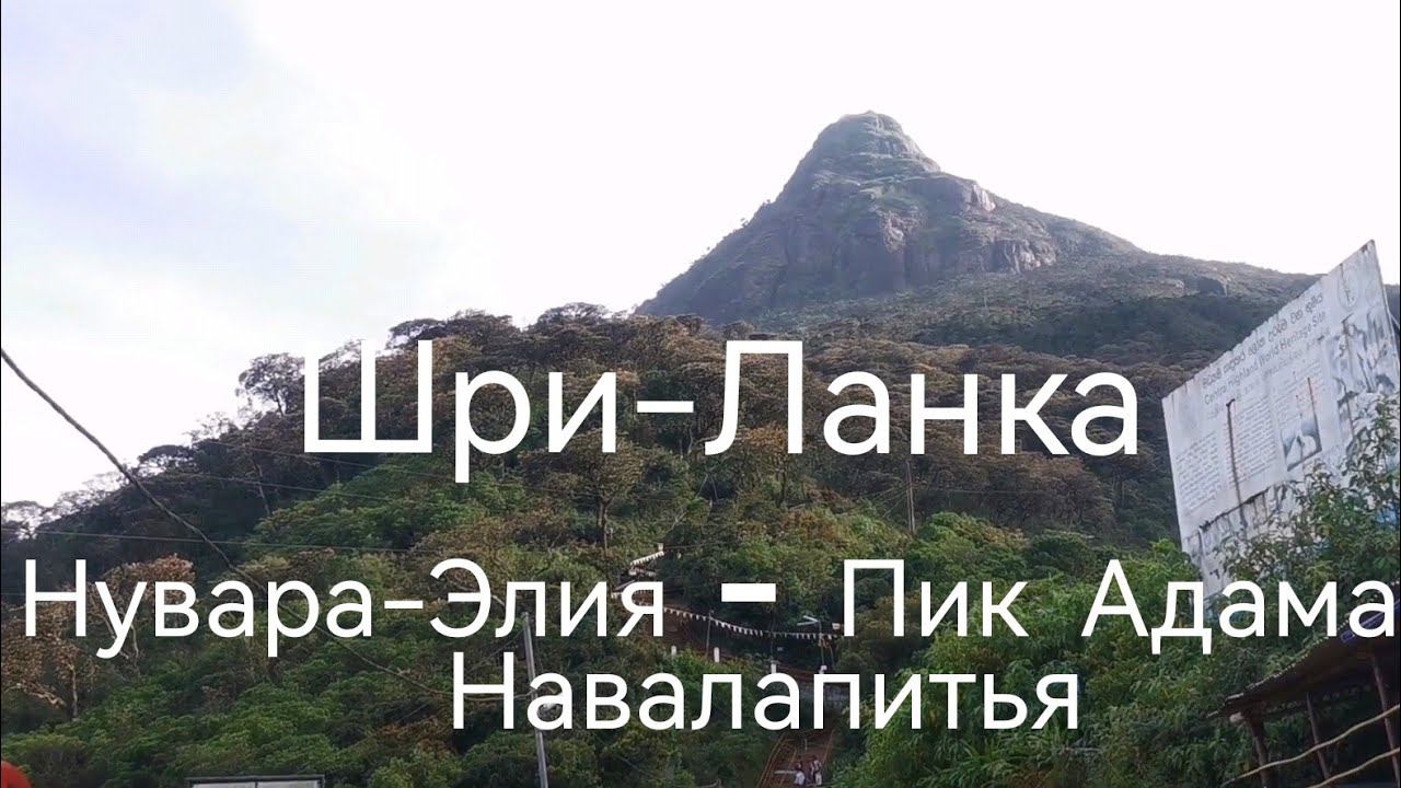 Шри-Ланка на мопеде (день 7): Нувара-Элия - Пик Адама