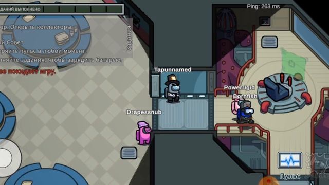 АМОНГ АС  2(слабонервным не смотреть!)