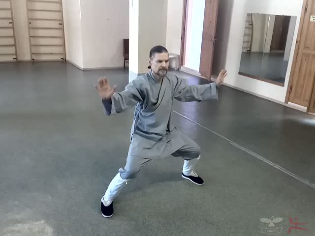 Комплекс цигун "12 кусков парчи". Демо-версия