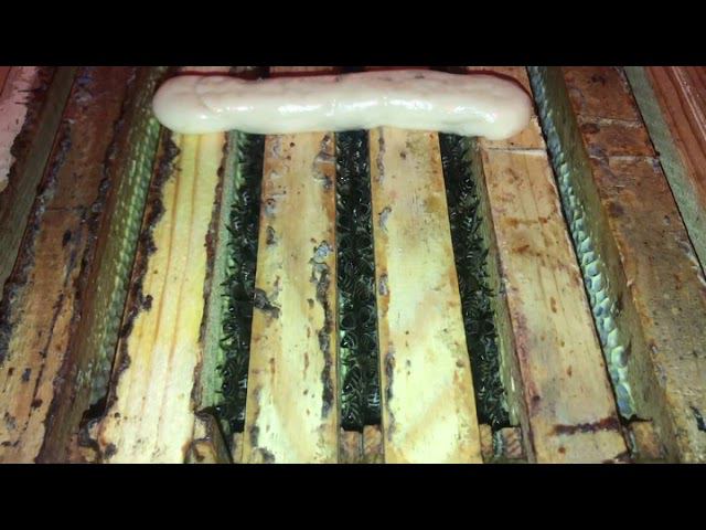 19.12.20 #зимовка пчёл #pereborovobee  даём подкормку #Канди пчёлам