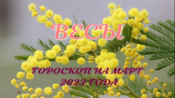ВЕСЫ ГОРОСКОП НА МАРТ 2023 ГОДА