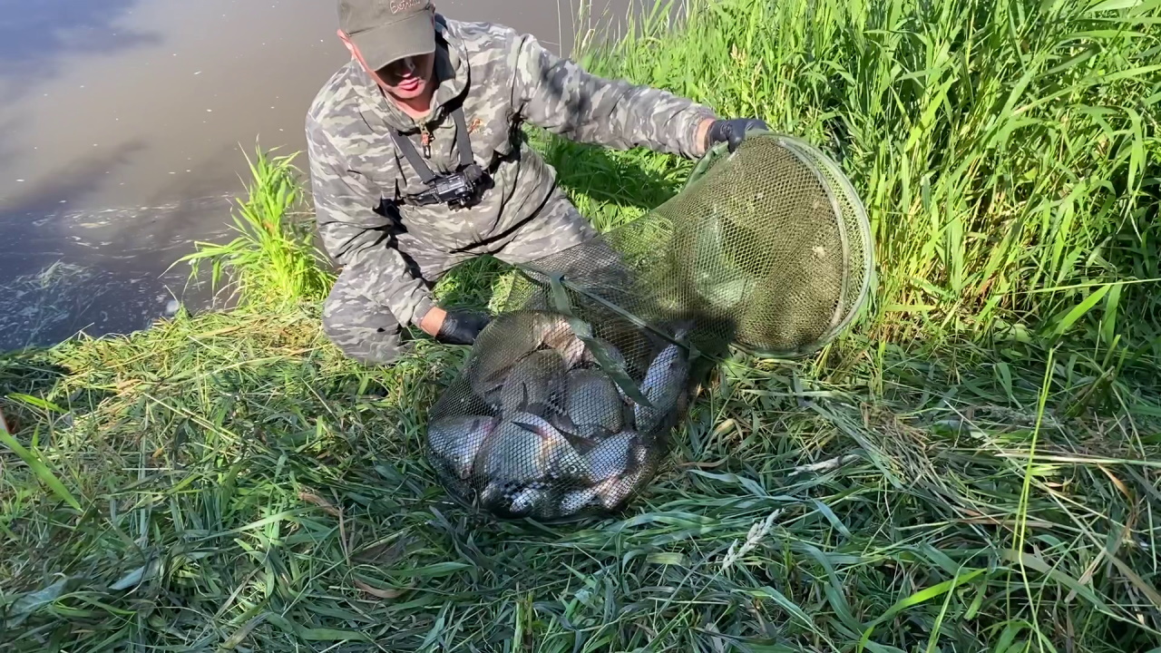 ЛОВЛЯ ЛЕЩА НА ФИДЕР РЫБАЛКА С НОЧЕВКОЙ.mp4