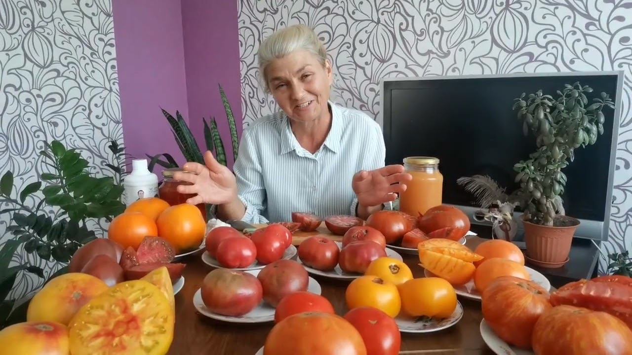 Сорт гном "Аделаида фестивальная- Вычурновой". Алтайский край