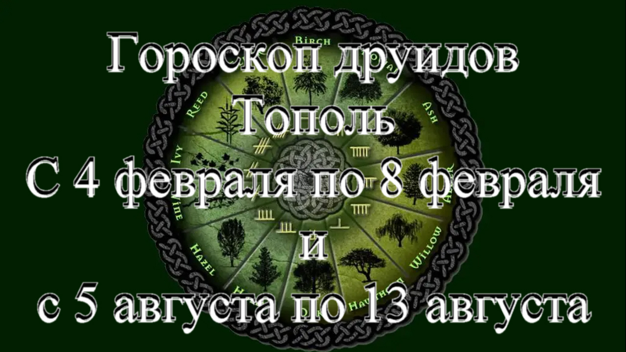 Гороскоп друидов. Тополь