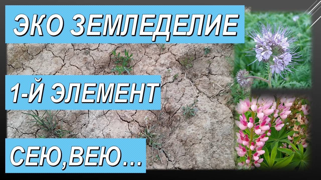 ЭКО земледелие. 1-й элемент. Сею, вею...