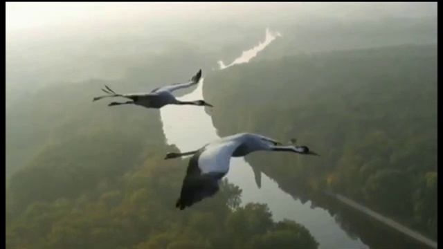 Литературное чтение