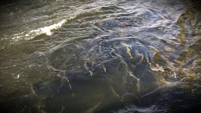 Сплав 2021. Умба. Финал