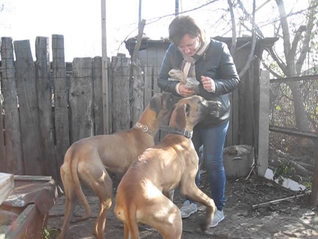 А у нас солнечные гости