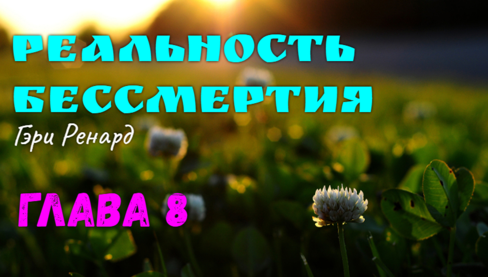 РЕАЛЬНОСТЬ БЕССМЕРТИЯ. Г. Ренард. ГЛАВА 8.