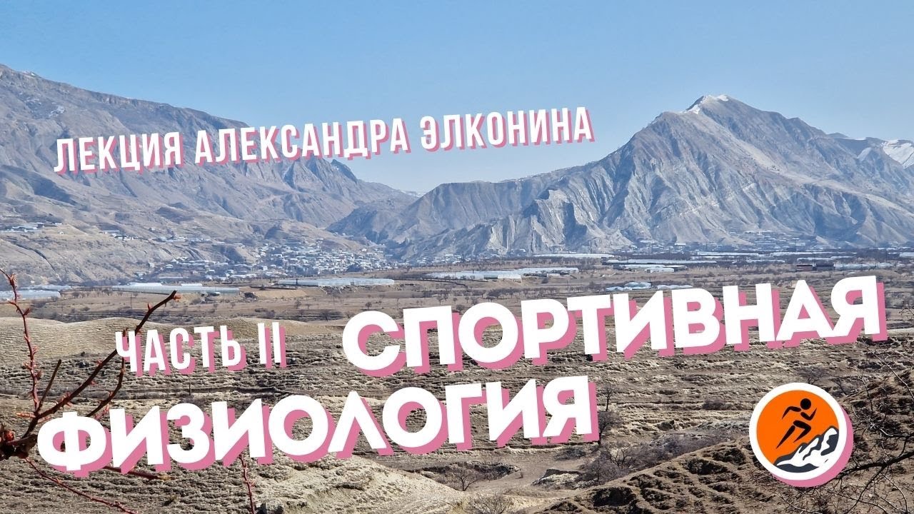 Спортивная физиология | вторая часть | Лекция Александра Элконина