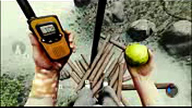 The forest #8. Наглость