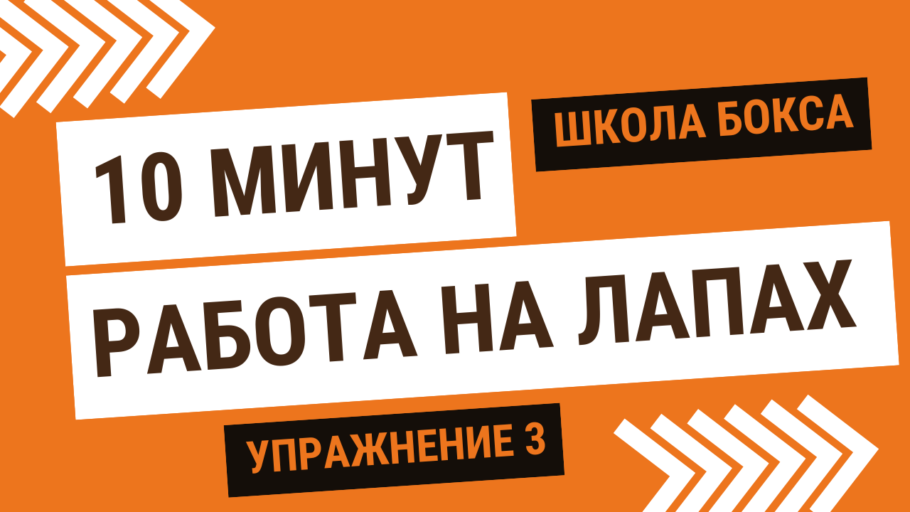 Тренировка на улице для всех. Часть 3 | Работа на лапах новичка | Базовые удары | Школа бокса