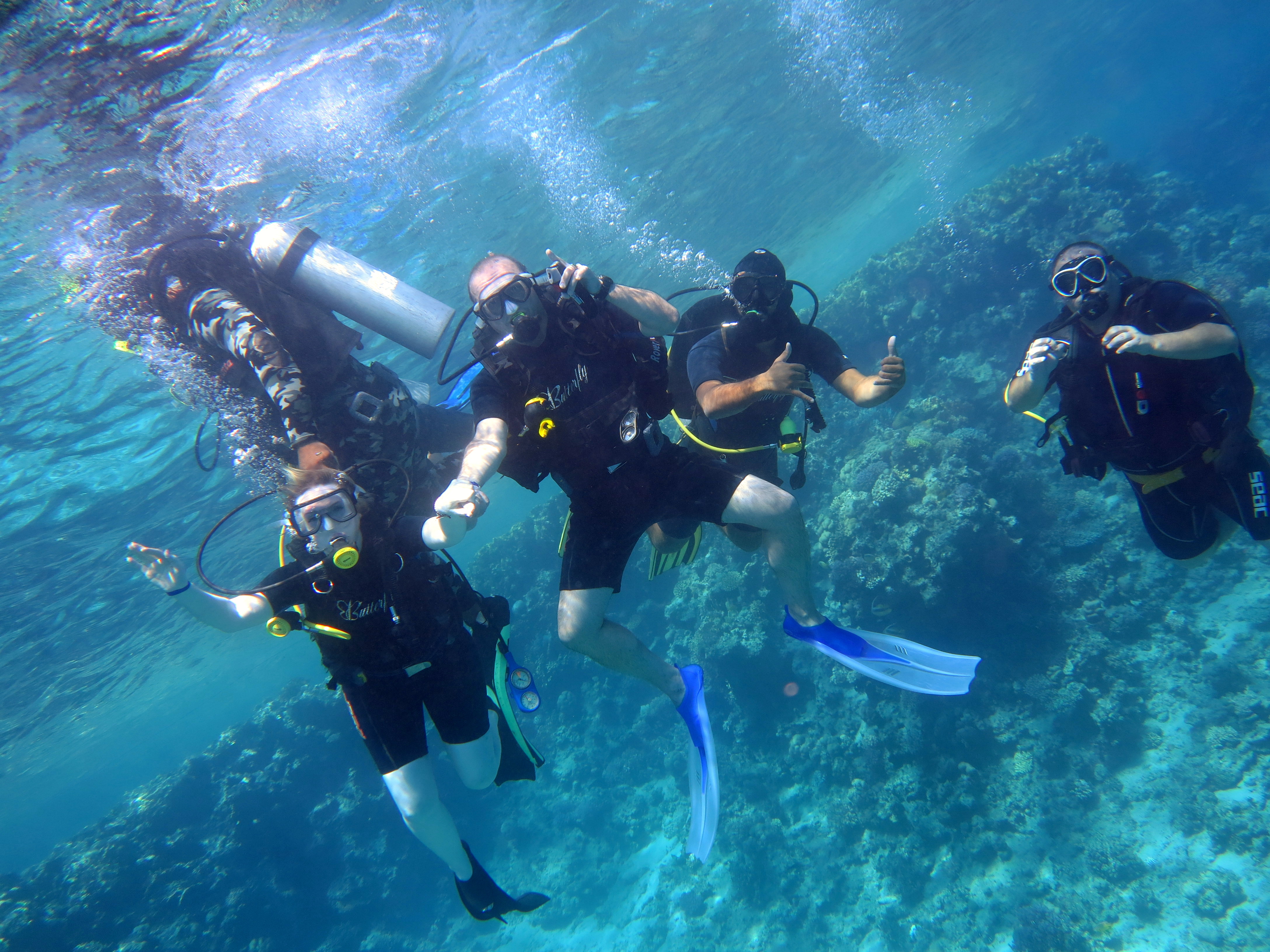 Шарм-эль-Шейх - интродайв-2023. Где, как и почём?