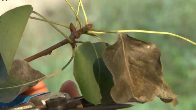 Экспедиционные исследования_ Крым, 30.07. - 6.08. 2016 г. Часть-2.mp4