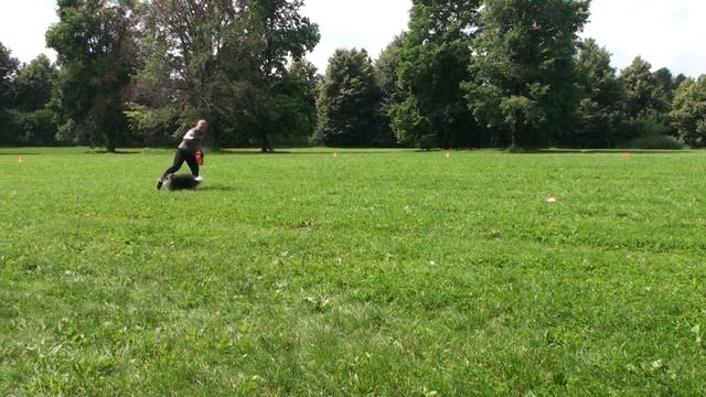 Кубок Клуба 2017 Оксана и Феликс.mp4