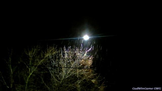 Первый Снег Первого Декабря ДвадцатьПервого