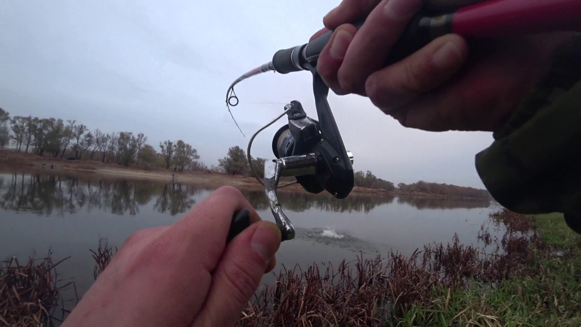 Щука на спиннинг. Сводный отчёт за три вечера. (27.10.2020)