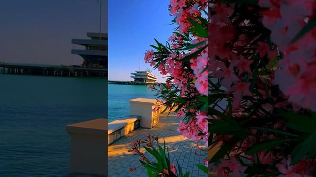 Пляж г. Сухум. Абхазия #shorts