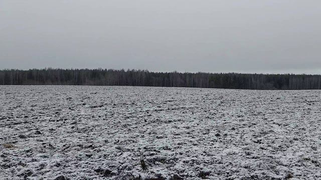 Продолжаю копать на распаханном урочище с TX 850